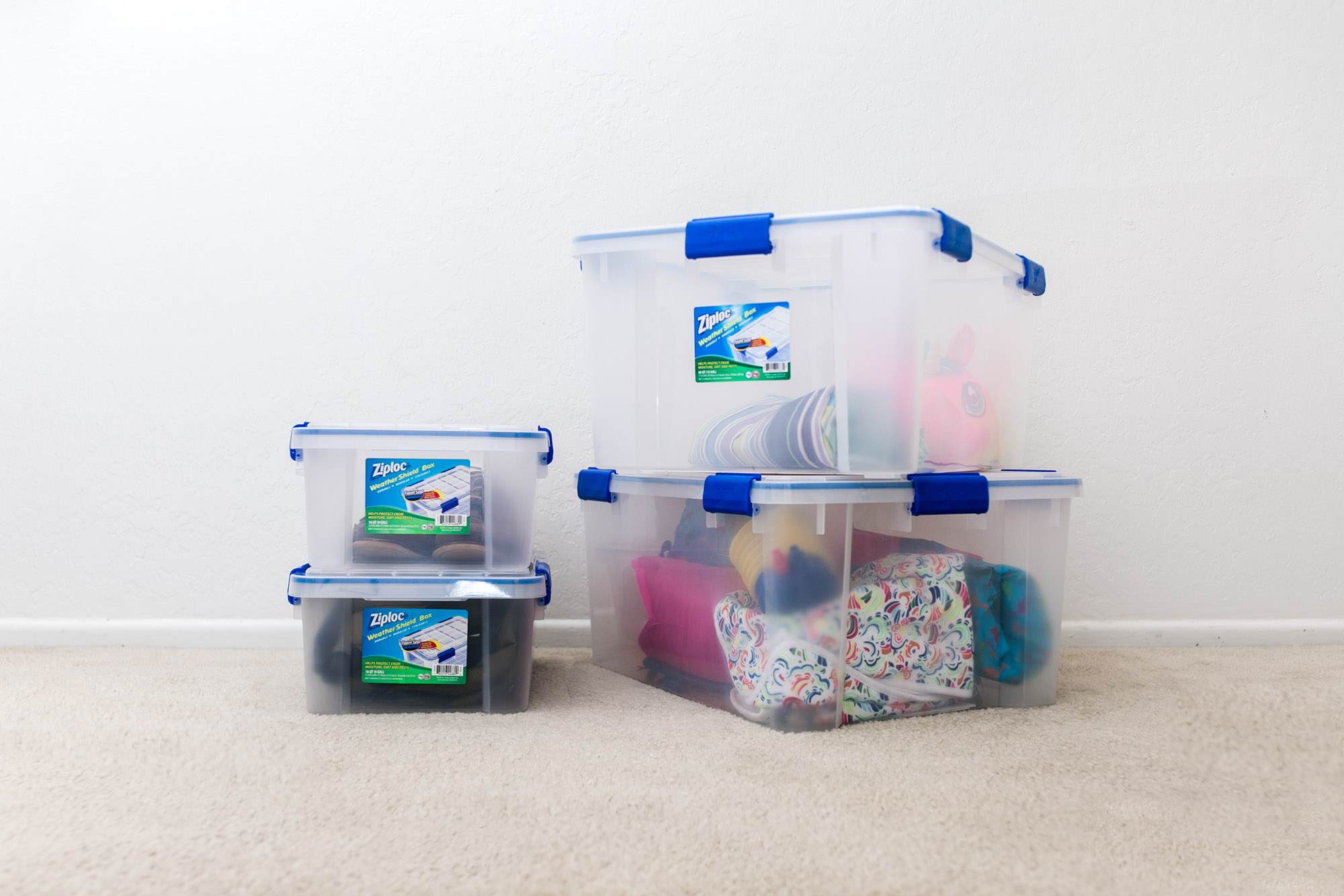 The 7 Best Storage Container of 2025 - Reviews by Your Best Digs