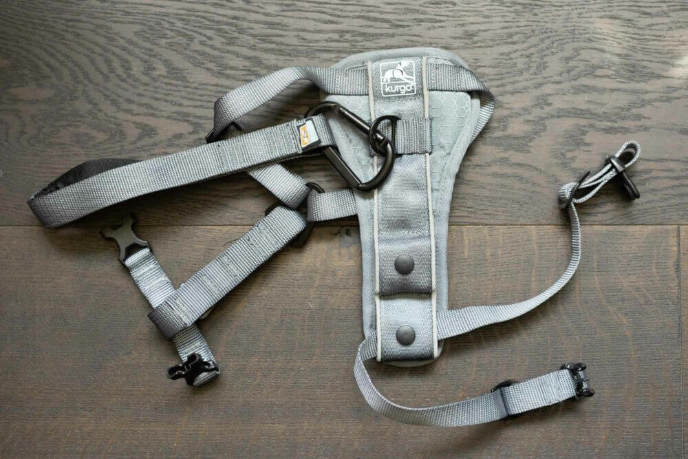 The 7 Best No-Pull Dog Harnesses of 2025 - Reviews by Your Best Digs