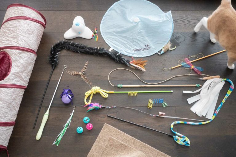 The 19 Best Cat Toys 2025 - Cat-Tested Wands, Tunnels, Charmers